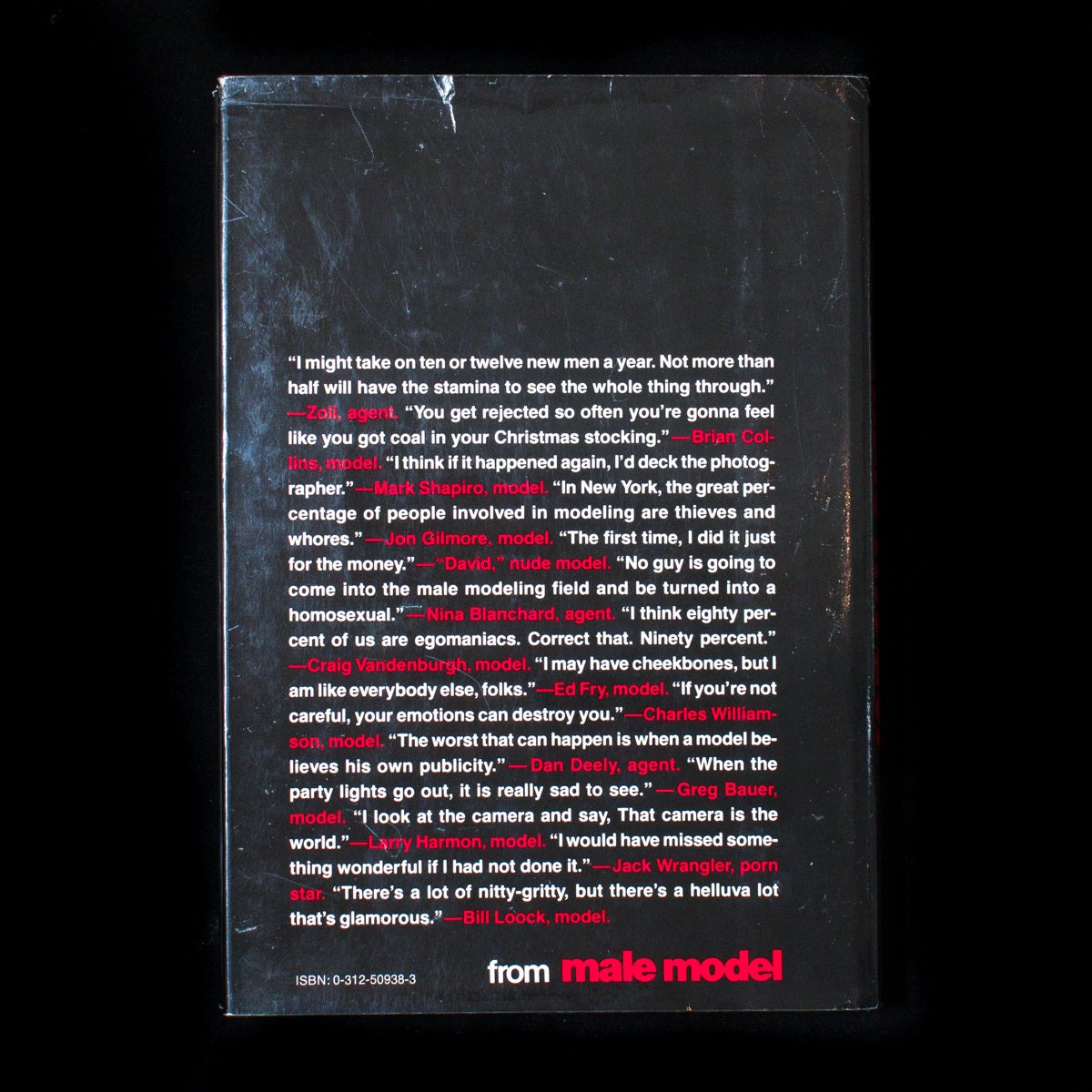 Male Model | Charles Hix, Michael Taylor | 1st Edition